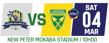 DISKI TEAM - Lamontville Golden Arrows FC